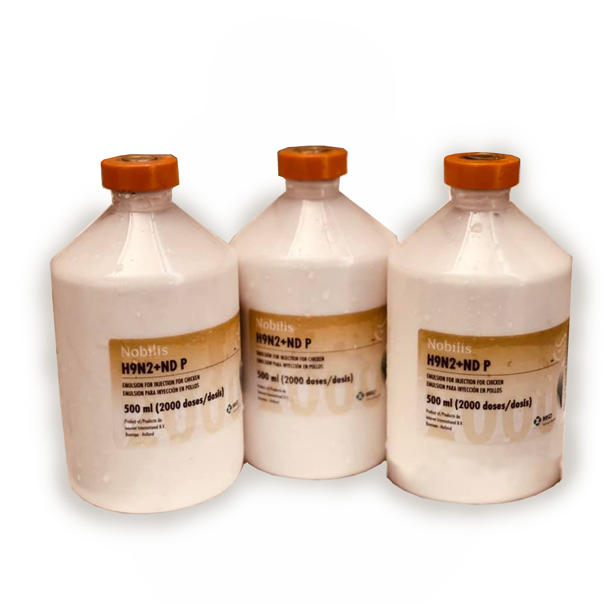 أفنان لخدمات الثروة الحيوانية